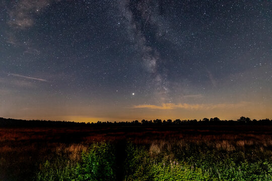 Marsh Night Bilder – Durchsuchen 8,931 Archivfotos, Vektorgrafiken und ...