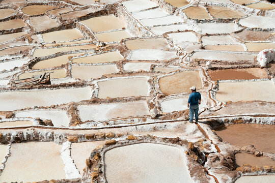 รูปภาพExtensiones – เลือกดูภาพถ่ายสต็อก เวกเตอร์ และวิดีโอ170 | Adobe Stock