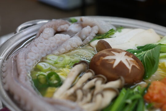 "Octopus Soup" Bilder – Durchsuchen 95 Archivfotos, Vektorgrafiken und ...