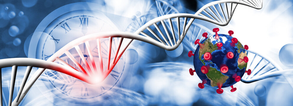 Infektionskette-Bilder: Stock-Fotos & -Videos. | Adobe Stock