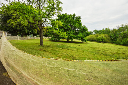 รูปภาพ芝刈り – เลือกดูภาพถ่ายสต็อก เวกเตอร์ และวิดีโอ362 | Adobe Stock