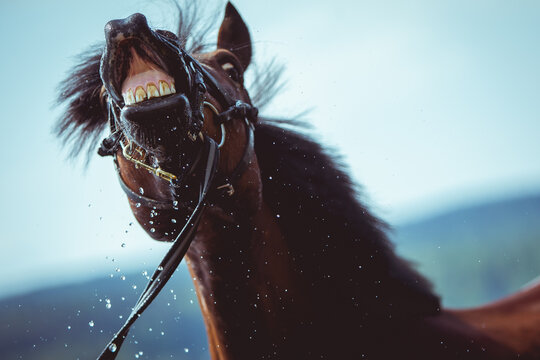 รูปภาพNeiging – เลือกดูภาพถ่ายสต็อก เวกเตอร์ และวิดีโอ2 | Adobe Stock