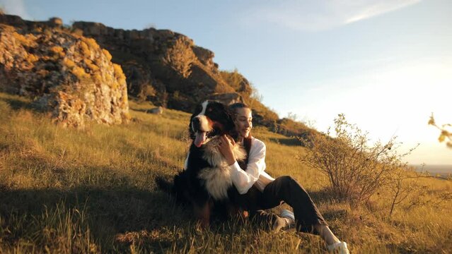 "Bernese Mountain Dog" Images – Browse 22,969 Stock Photos, Vectors ...