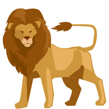 Deni photos, images, assets | Adobe Stock