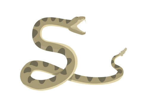 Striking Rattlesnake Clipart Free