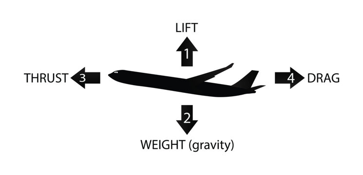 "Steady Flight" Images – Browse 477 Stock Photos, Vectors, and Video ...