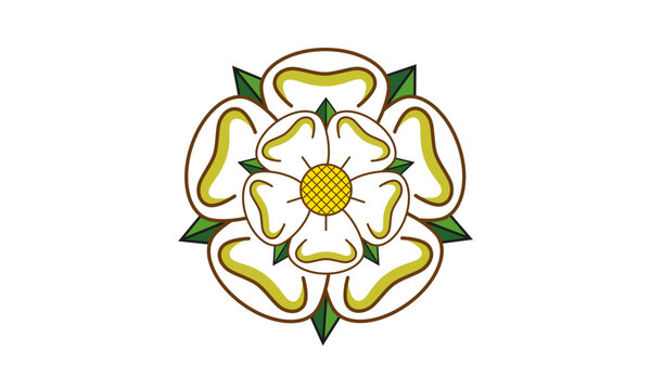 Imágenes de Yorkshire Rose: descubre bancos de fotos, ilustraciones ...