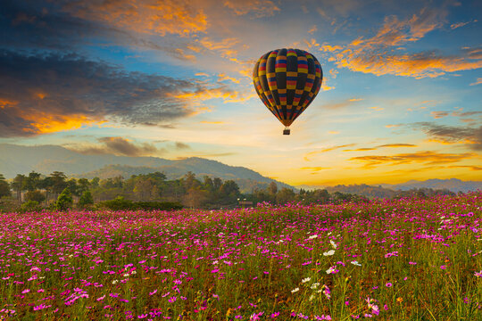 "Horizon Over Land" Images – Browse 39,094 Stock Photos, Vectors, and ...