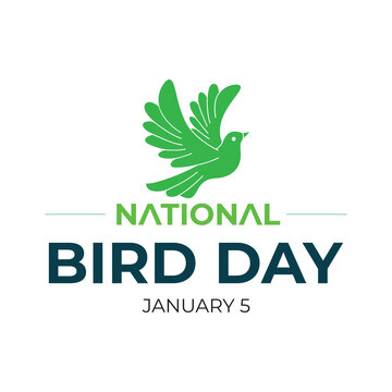 "Bird Day" Bilder – Durchsuchen 1,448 Archivfotos, Vektorgrafiken und ...