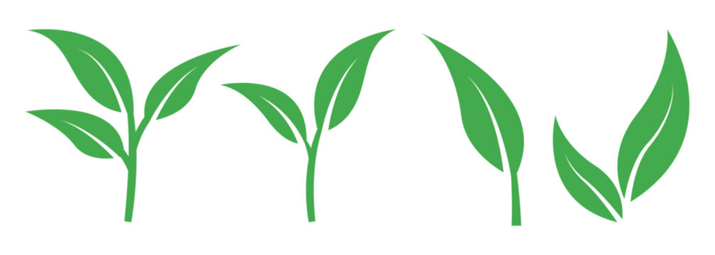 "Plant Icon" Images – Browse 3,676 Stock Photos, Vectors, and Video ...