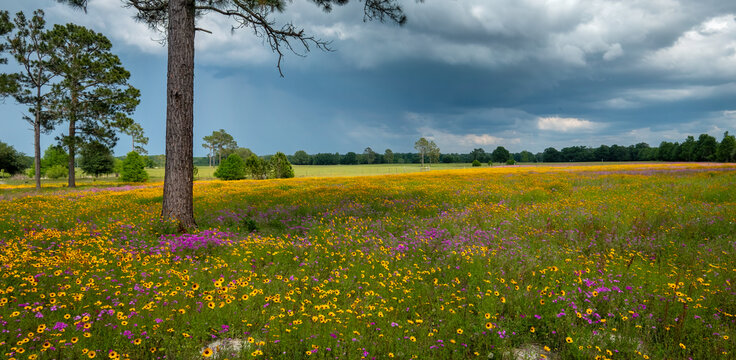 Guy Bryant photos, images, assets | Adobe Stock