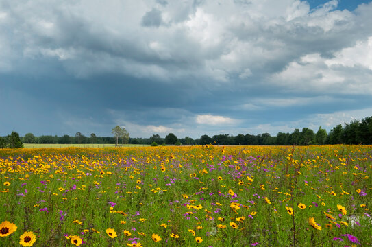 Guy Bryant photos, images, assets | Adobe Stock