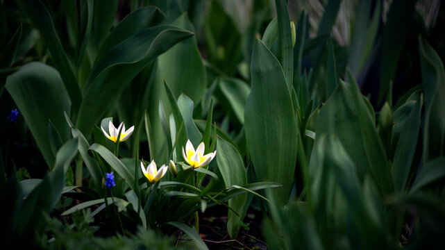 Delicateses Bilder – Durchsuchen 1,473,205 Archivfotos, Vektorgrafiken ...