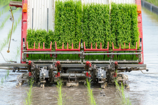 รูปภาพTanbo – เลือกดูภาพถ่ายสต็อก เวกเตอร์ และวิดีโอ3,930 | Adobe Stock