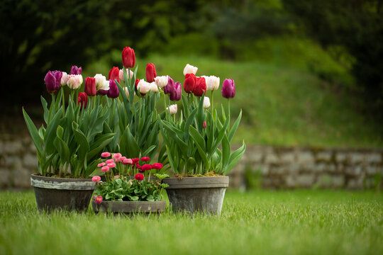 meegi photos, images, assets | Adobe Stock