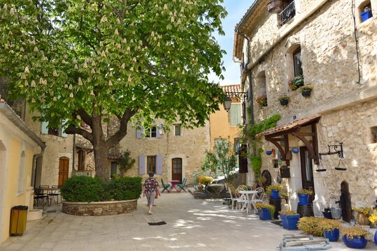 "Var Bilder – Durchsuchen 37,035 Archivfotos, Vektorgrafiken und Videos ...