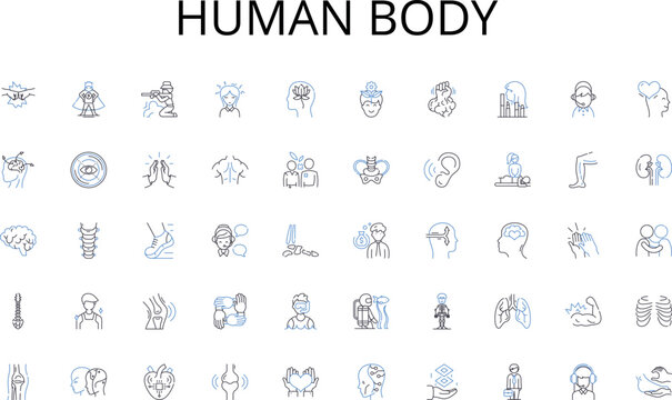Body Reference Images – Browse 2,989 Stock Photos, Vectors, and Video ...