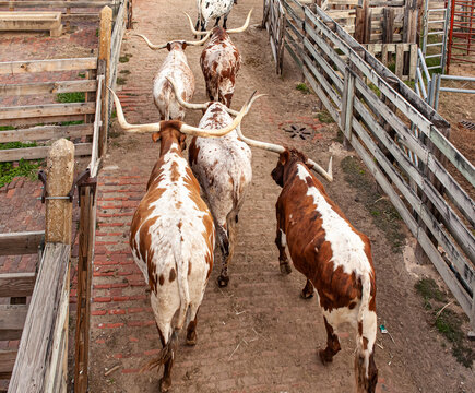 รูปภาพChute – เลือกดูภาพถ่ายสต็อก เวกเตอร์ และวิดีโอ391,670 | Adobe Stock