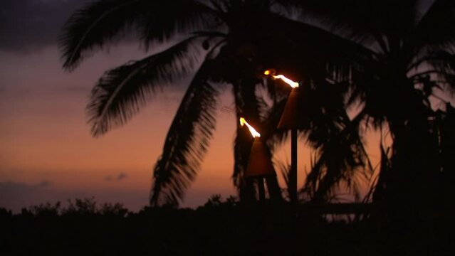 "Tiki Torch" Images – Browse 995 Stock Photos, Vectors, and Video ...