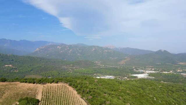 Lecci Images – Browse 175 Stock Photos, Vectors, and Video | Adobe Stock