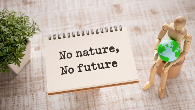 "No Future" Bilder – Durchsuchen 497 Archivfotos, Vektorgrafiken und ...