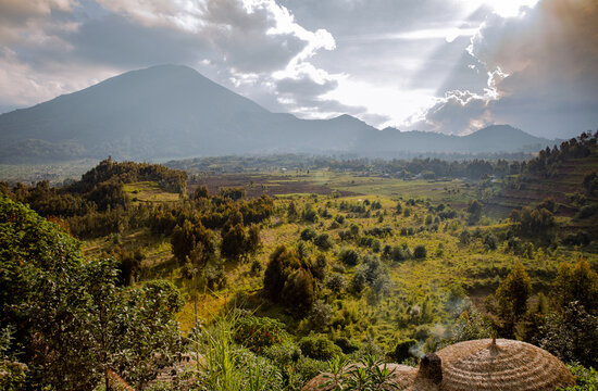 Rwanda Landscape