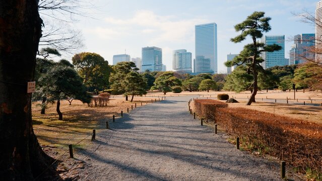 รูปภาพShiodome – เลือกดูภาพถ่ายสต็อก เวกเตอร์ และวิดีโอ895 | Adobe Stock