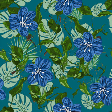 Valotta Images – Browse 7 Stock Photos, Vectors, and Video | Adobe Stock