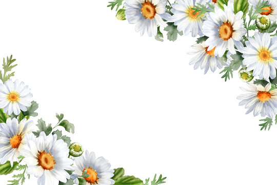 Daisy Flower Border Clip Art Free