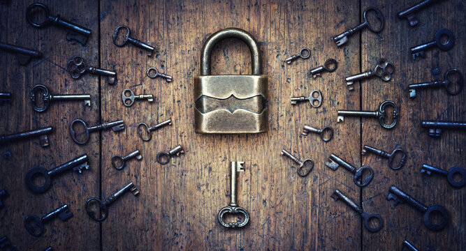 «Tryfonov» — фотографии, изображения, ресурсы | Adobe Stock