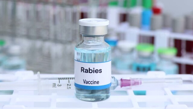 "Rabies Vaccine" Images – Browse 346 Stock Photos, Vectors, and Video ...