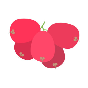 Riberry bilder – Bläddra bland 27 stockfoton, vektorer och videor ...