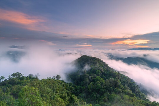 Batong Images – Browse 19 Stock Photos, Vectors, and Video | Adobe Stock