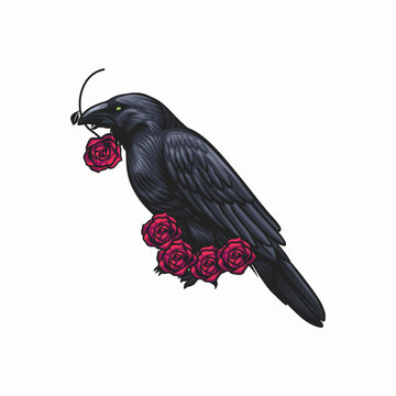 Crow Rose Tattoo