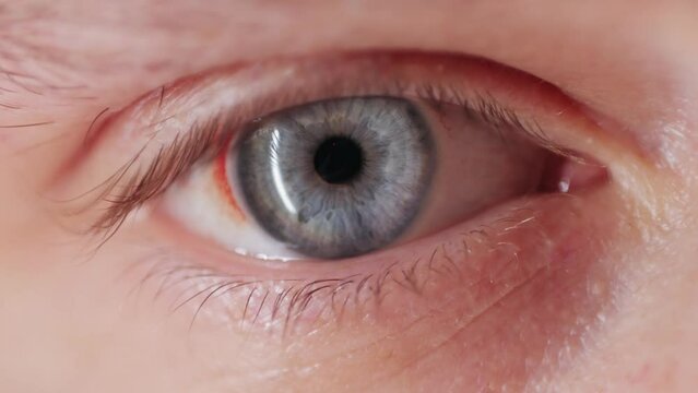 Imágenes de Blue(Bruise): descubre bancos de fotos, ilustraciones ...