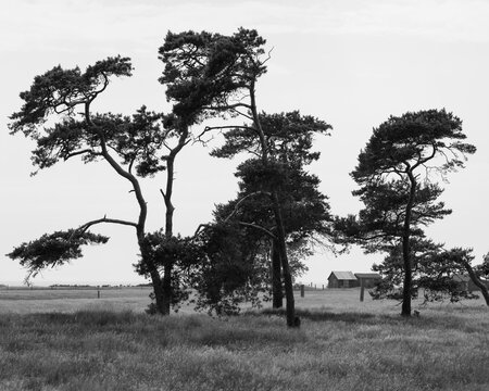 รูปภาพSkane – เลือกดูภาพถ่ายสต็อก เวกเตอร์ และวิดีโอ82,008 | Adobe Stock