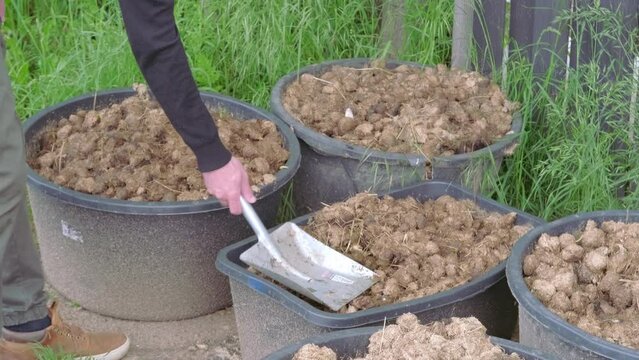 "Horse Dung" Imagens – Procure 176 fotos, vetores e vídeos | Adobe Stock