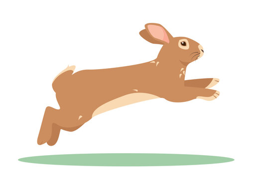 Bunny Running Animation