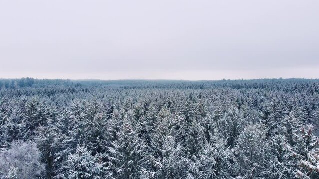 "Borealer Nadelwald" bilder – Bläddra bland 73 stockfoton, vektorer och ...