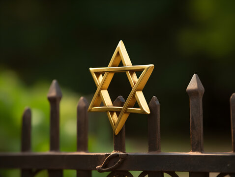 Judenstern Bilder – Durchsuchen 41,255 Archivfotos, Vektorgrafiken und ...