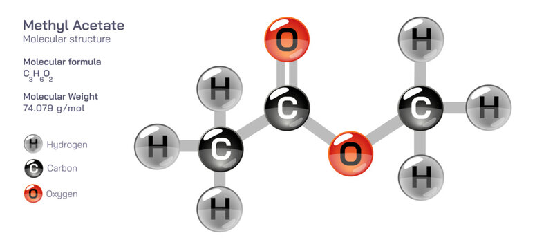 Structure Of Methyl Acetate