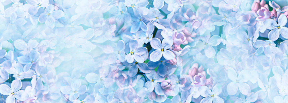 nadezhda F photos, images, assets | Adobe Stock