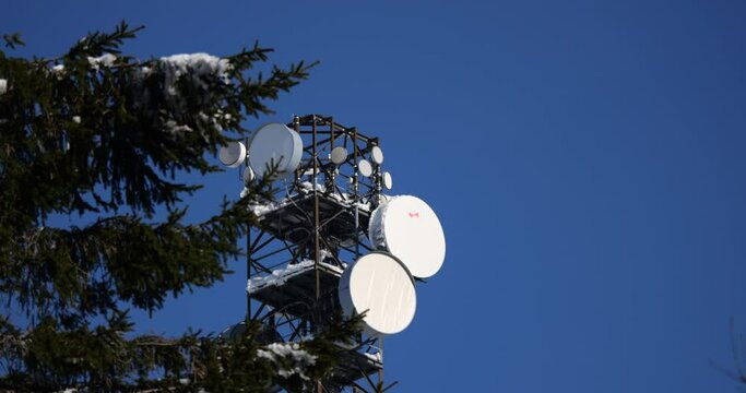 7G Images – Browse 1,514 Stock Photos, Vectors, and Video | Adobe Stock