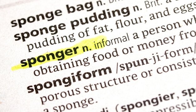 Sponger Bilder – Durchsuchen 353 Archivfotos, Vektorgrafiken und Videos ...