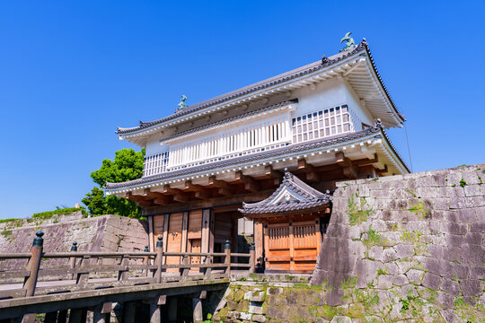 被写体 Images – Browse 855 Stock Photos, Vectors, and Video | Adobe Stock