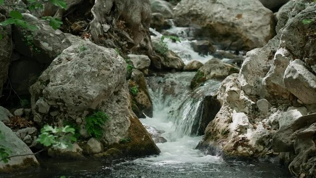 Freen Images – Browse 1,654 Stock Photos, Vectors, and Video | Adobe Stock