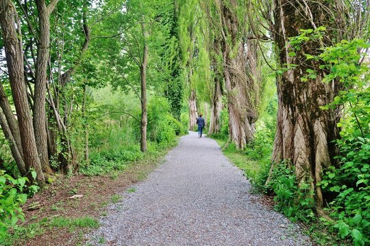 Pappelallee Images – Browse 191 Stock Photos, Vectors, and Video ...