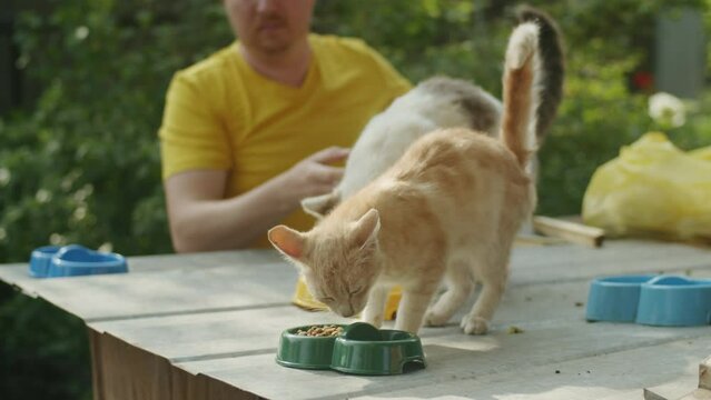 Urging Images – Browse 41,988 Stock Photos, Vectors, and Video | Adobe ...