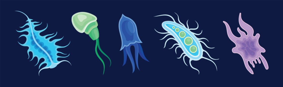 Phytoplankton Clipart