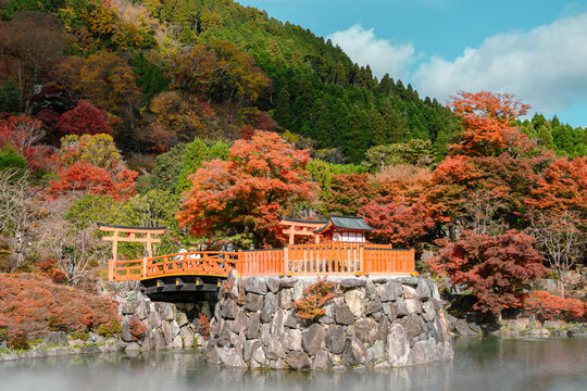 Minoh Bilder – Durchsuchen 896 Archivfotos, Vektorgrafiken und Videos ...